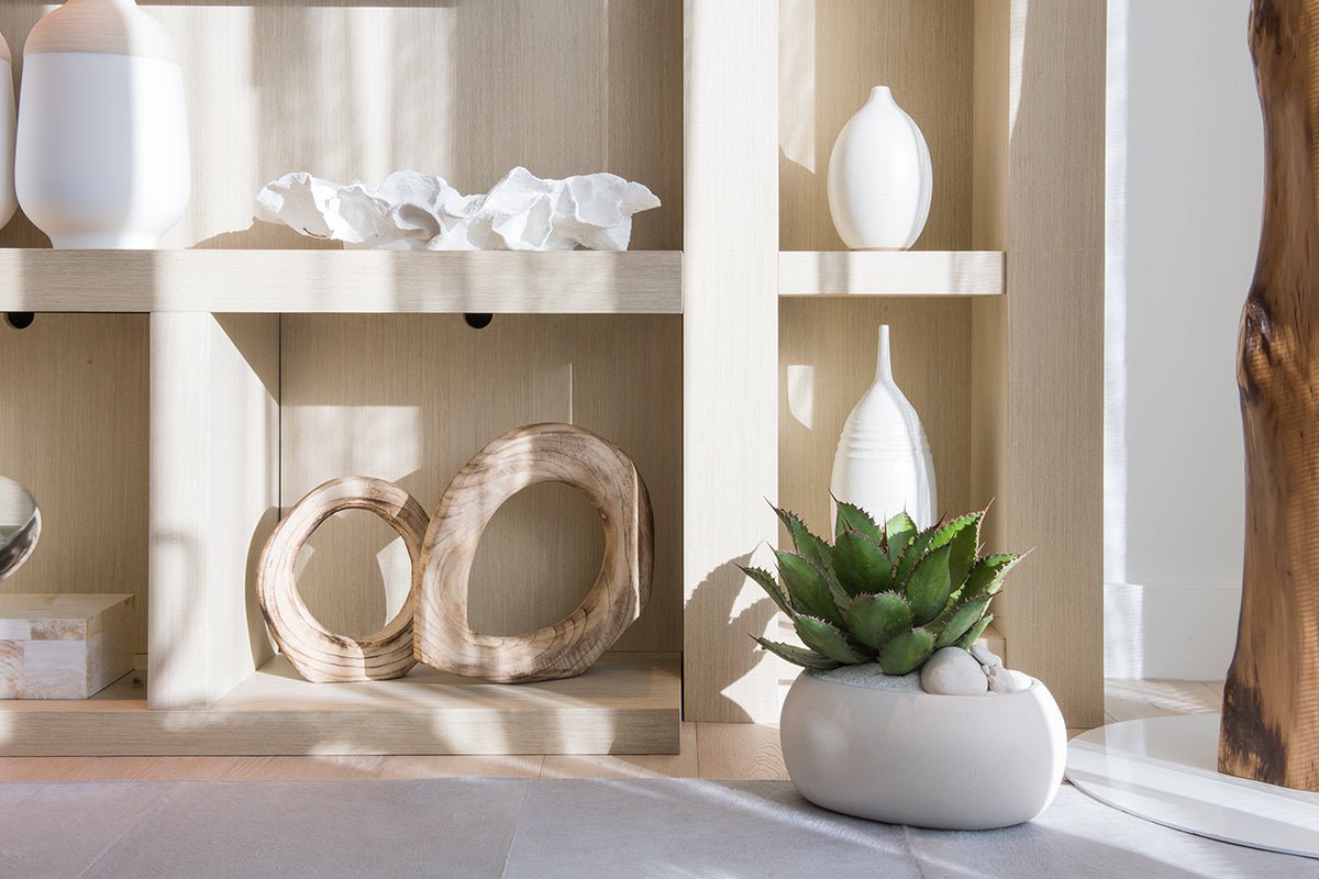 Mindfulness Home Decor: Designing with Plants in Mind – PLANT THE FUTURE