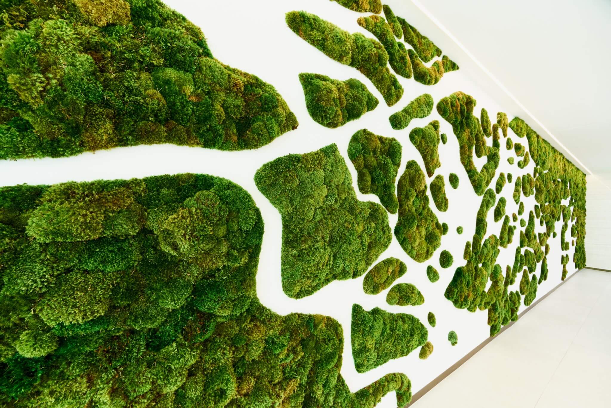 Live Moss Wall Art: Everything You Need To Know – PLANT THE FUTURE