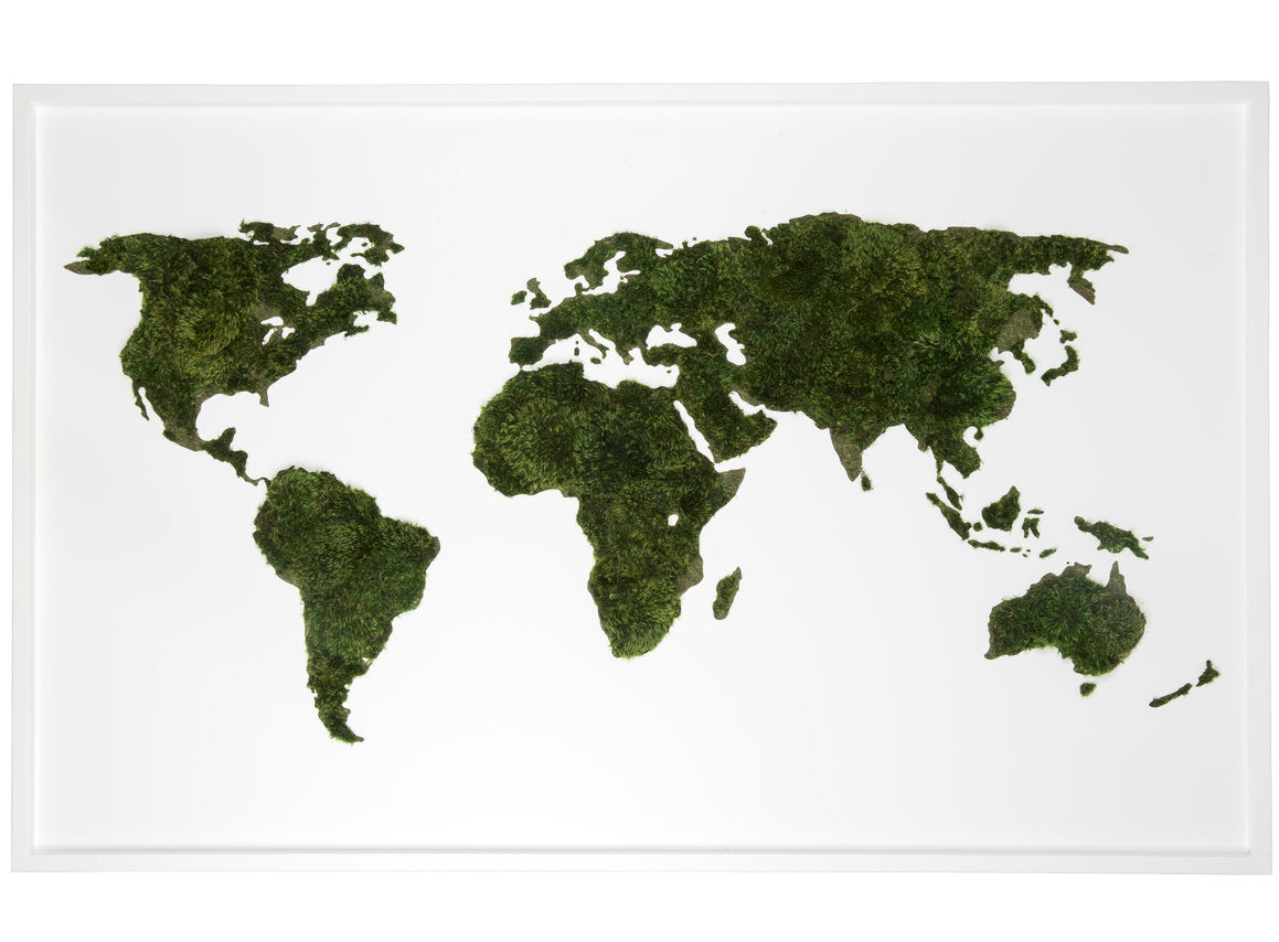 3 Ways to Celebrate Earth Day 2019 – PLANT THE FUTURE