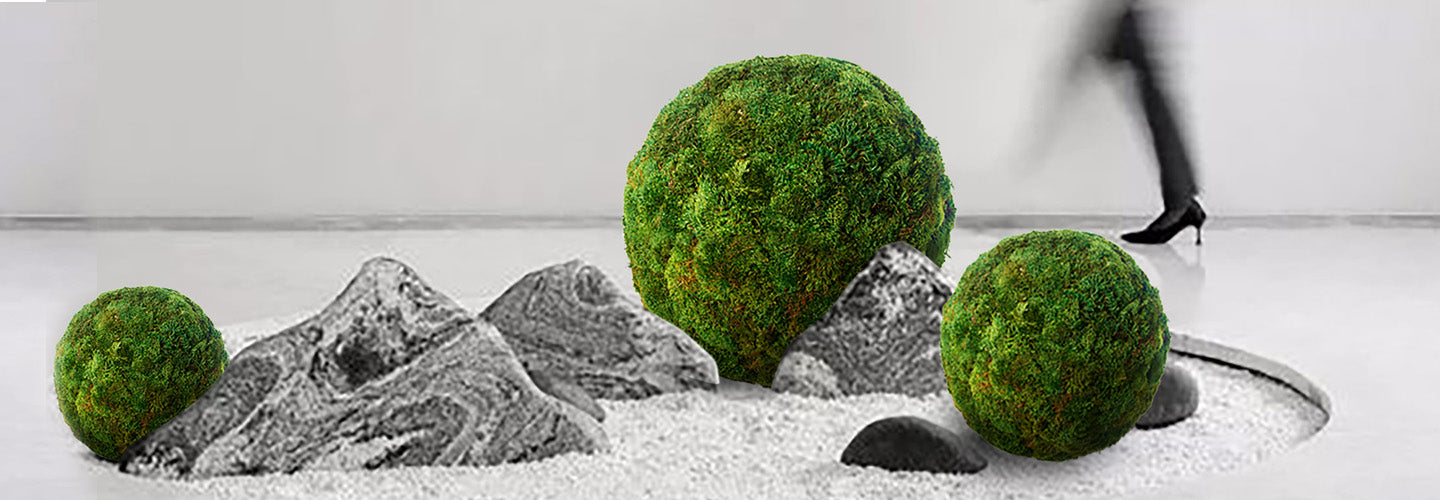 How a Decorative Moss Ball Can Upgrade Any Room in the House – PLANT ...