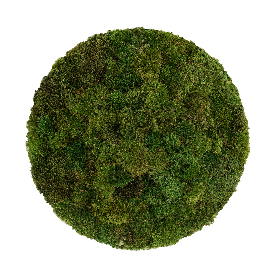 Moss Wall-Decor Shapes and Symbols – PLANT THE FUTURE