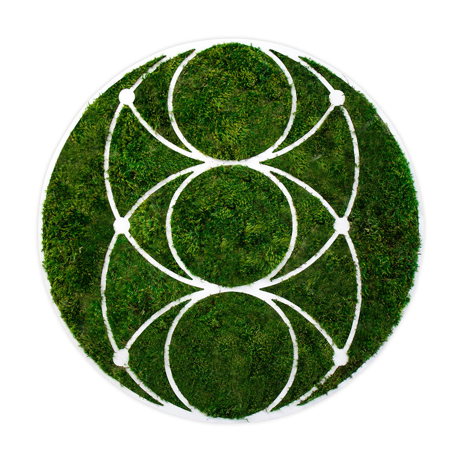 Preserved Moss Shapes and Symbols – PLANT THE FUTURE