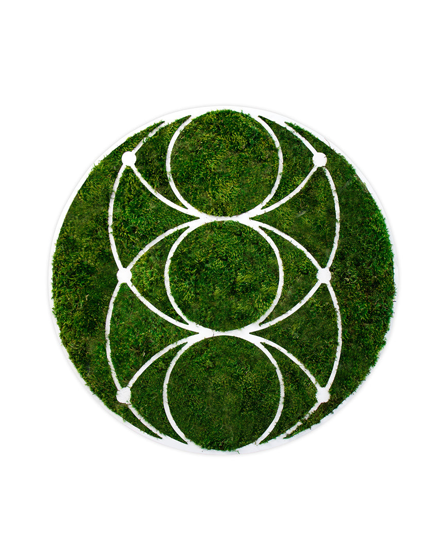 Biophilic Design Principles and Examples – PLANT THE FUTURE