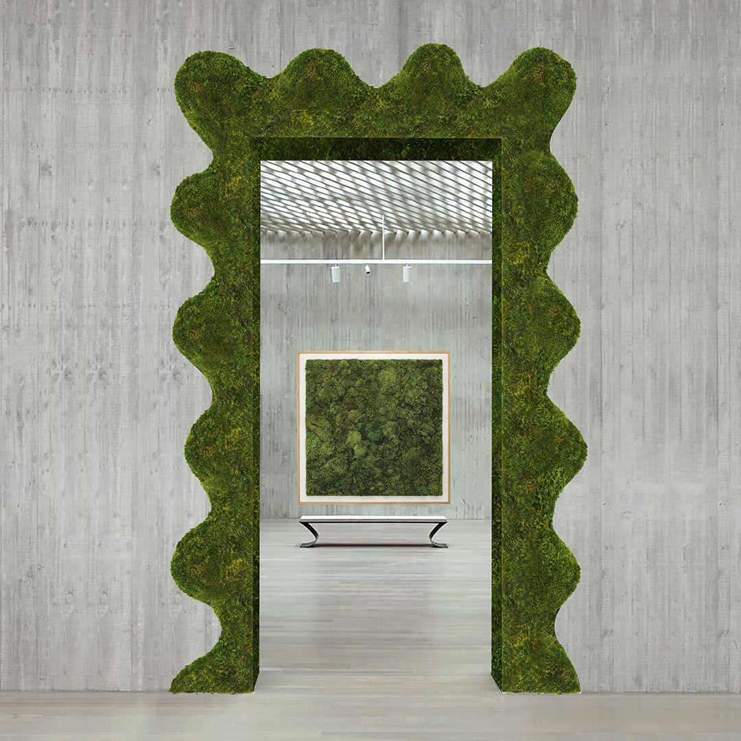 New Arrivals – PLANT THE FUTURE