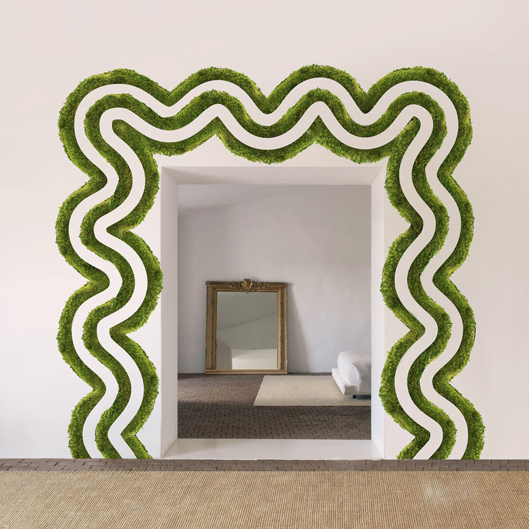 New Arrivals – PLANT THE FUTURE