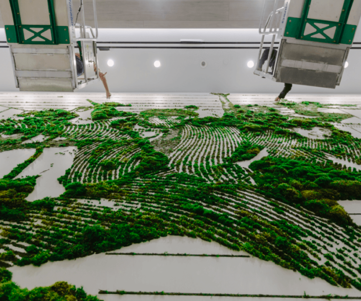 Moss Murals – PLANT THE FUTURE