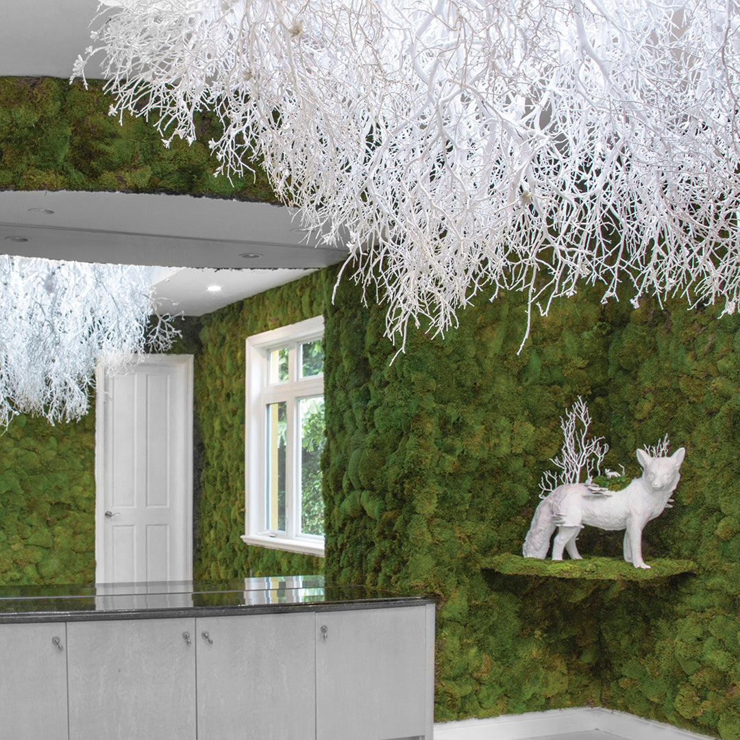 Sustainable Moss Design in Architecture – PLANT THE FUTURE