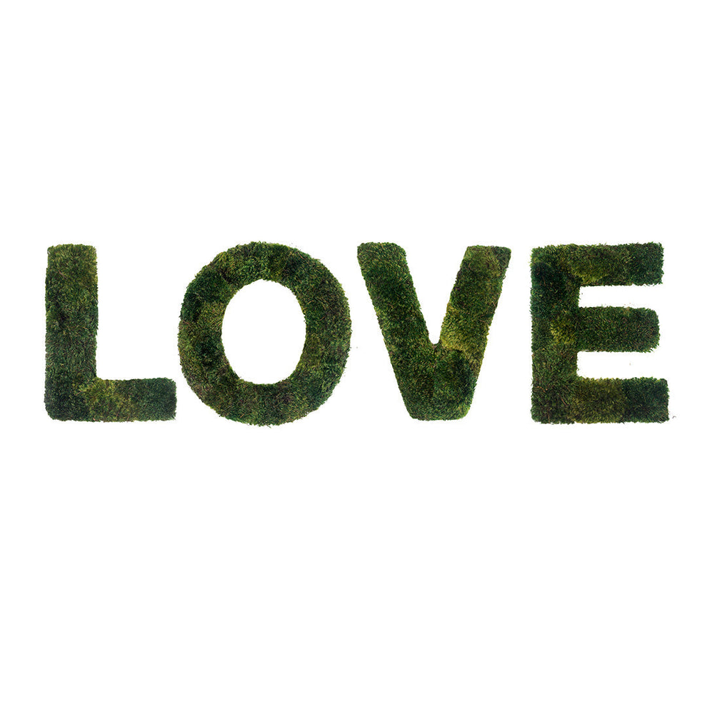 Moss Wall Art "LOVE" in Block Letters | Plant the Future – PLANT THE FUTURE