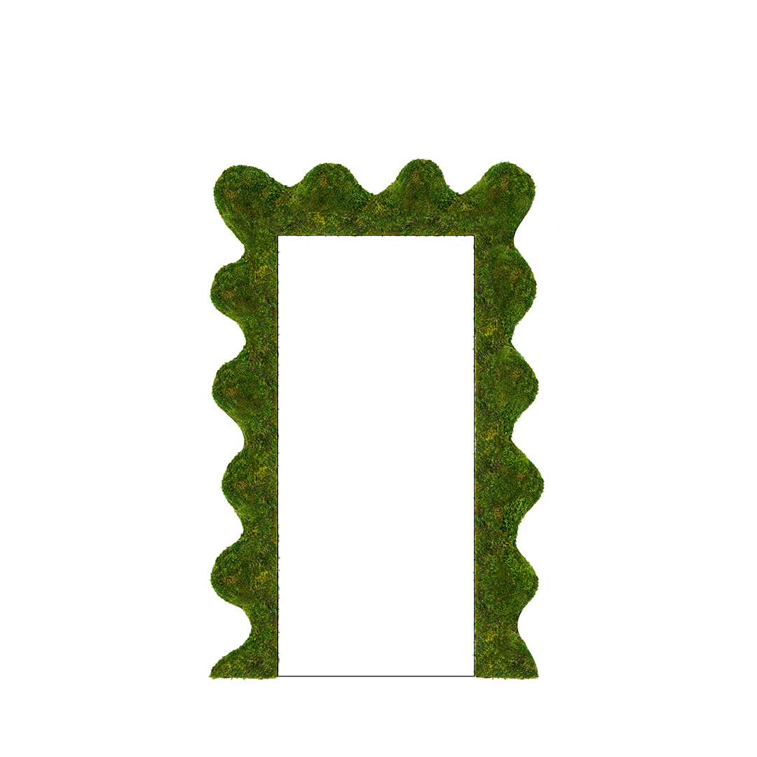 New Arrivals – PLANT THE FUTURE