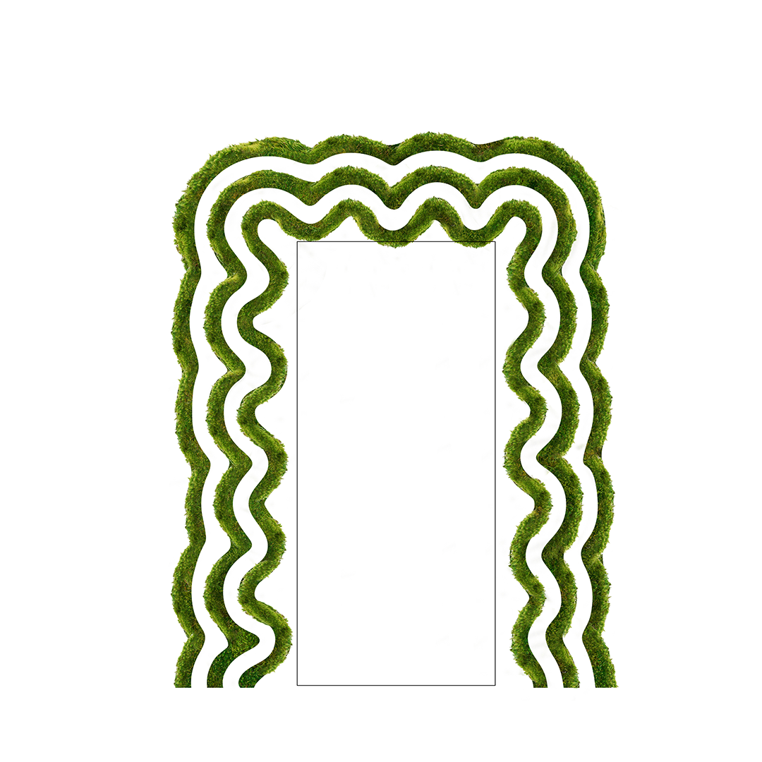 New Arrivals – PLANT THE FUTURE