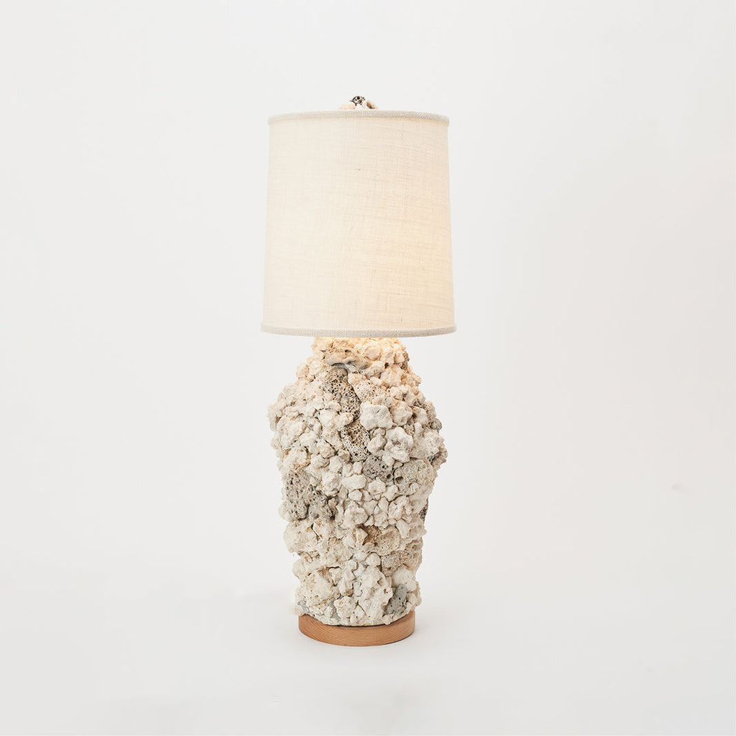 Lighting – PLANT THE FUTURE