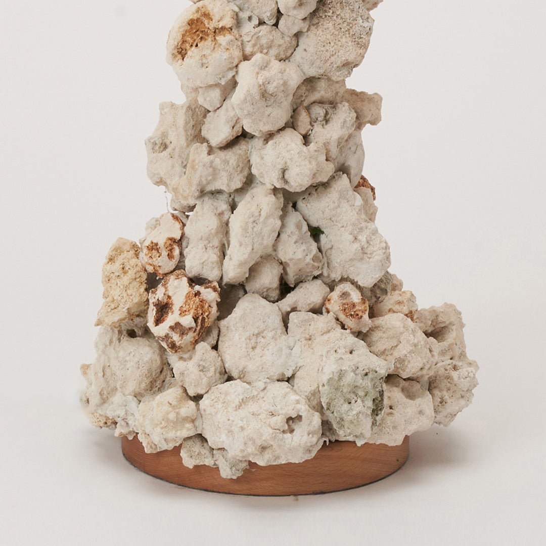 Keystone Lamp Series – PLANT THE FUTURE