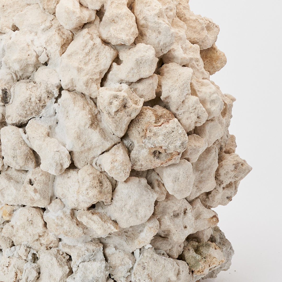 Keystone Lamp Series – PLANT THE FUTURE