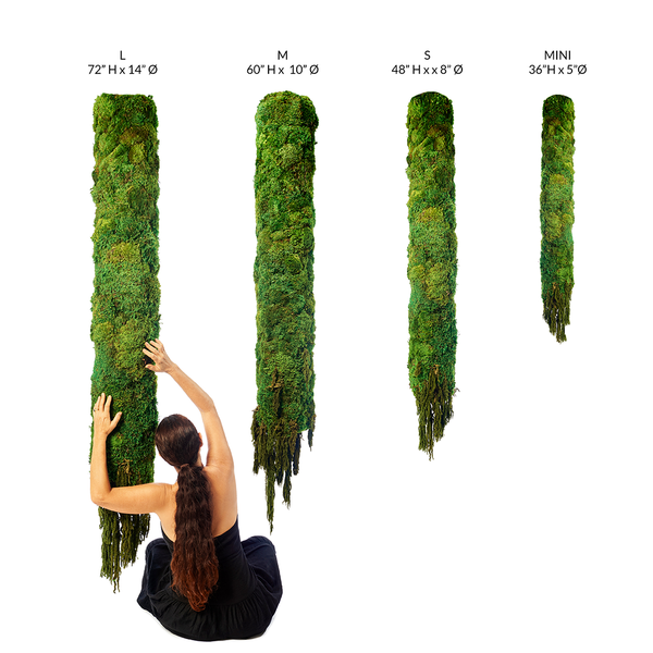 Hanging Moss Cylinder with Amaranthus I Plant the Future – PLANT THE FUTURE