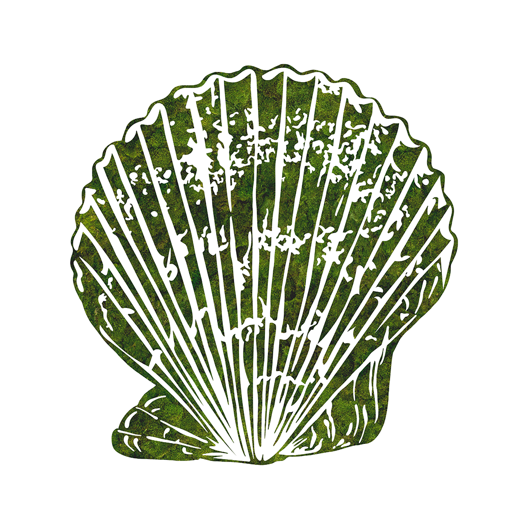 New Arrivals – PLANT THE FUTURE