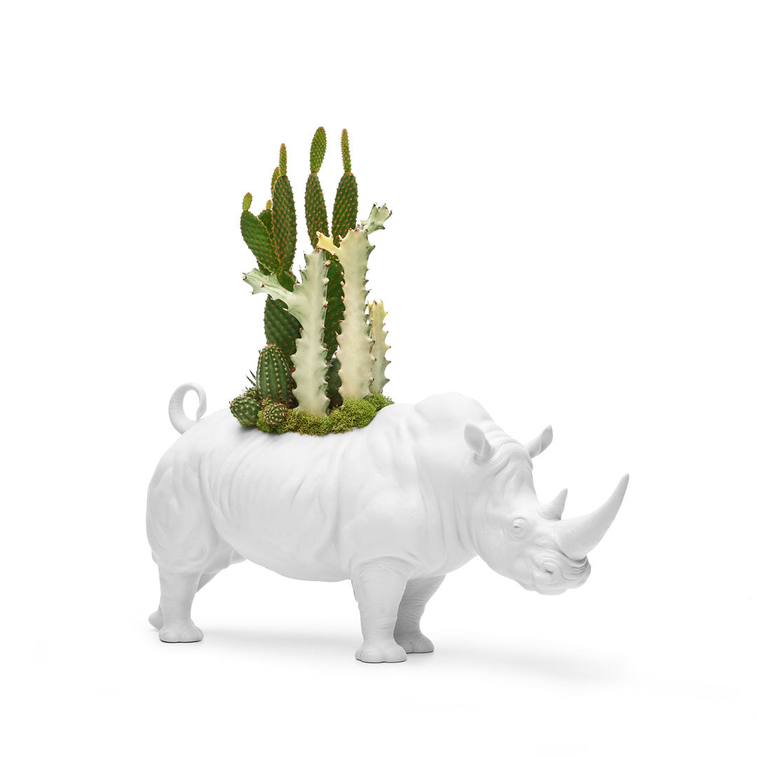 Lladró Porcelain - Rhino Green Garden – PLANT THE FUTURE