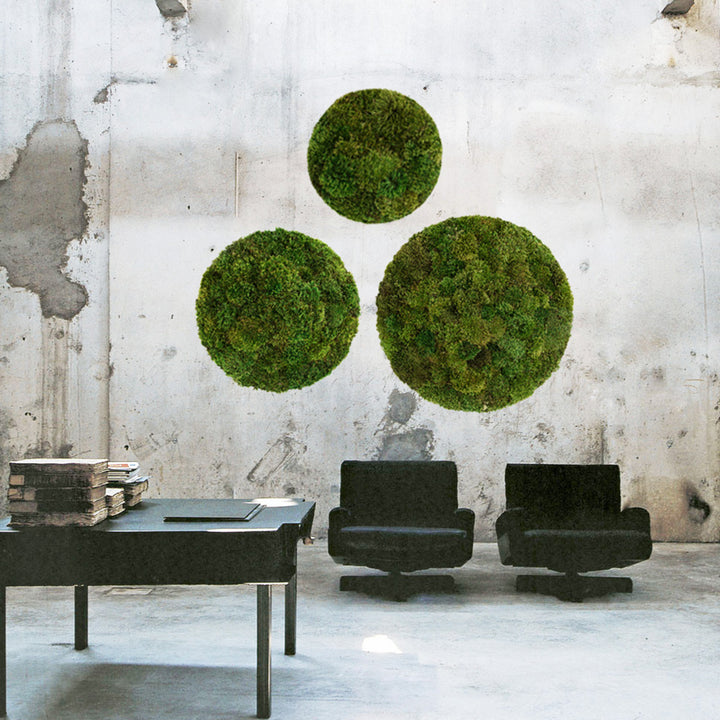Moss Wall-Decor Shapes and Symbols – PLANT THE FUTURE